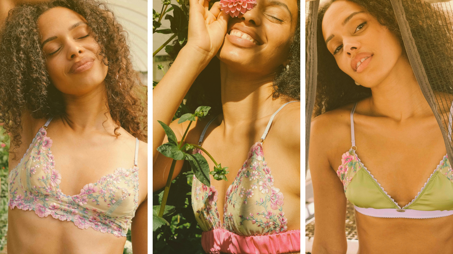 Primary | A Lingerette